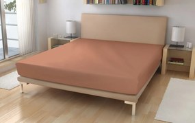 Polášek EXKLUSIVE MICRO Mikroplyšové prostěradlo Oříškové Polyester, 60/120 cm