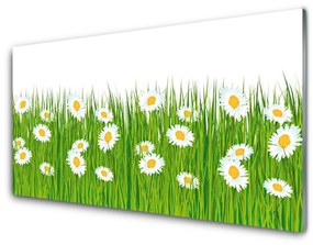 akrylový obraz Tráva Sedmikrásky Příroda 140x70 cm