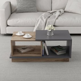 Konferenční stolek Concept Anthracite and Oak