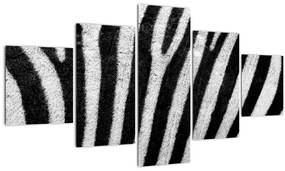 Obraz kůže zebry (125x70 cm)
