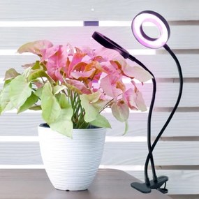 LED Stm flex. stolní lampa s klipem pro pěst. rostlin VITARO 2xLED/4W/230V černá