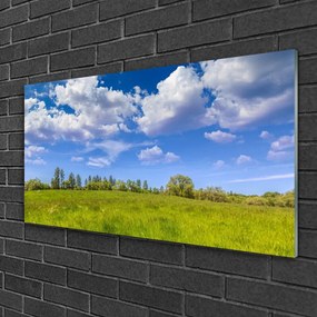 Obraz na skle Louka Tráva Nebe Krajina 140x70 cm