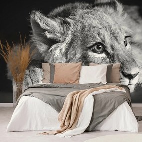 Samolepící fototapeta mládě lva v černobílém - 150x100 cm