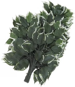 Umělá květina - Fíkus větvičky, balení 12 ks