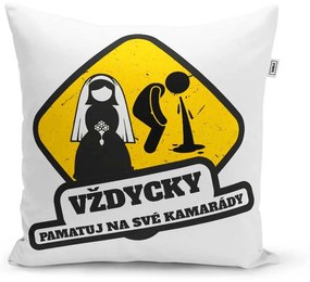 Sablio Polštář Vždycky pamatuj na svoje kamarády: 40x40 cm