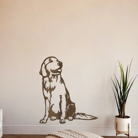 dřevo života Dřevěná dekorace psa Retriever Rozměry (cm): 26x30, Barevný vzor: Ořech
