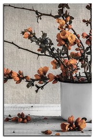 Obraz na plátně - Zátiší kytice - obdélník 7996QA (75x50 cm)