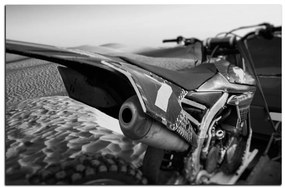 Obraz na plátně - Moto freestyle 1124QA (90x60 cm  )