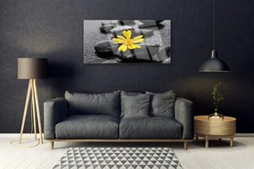 Obraz na skle Květ Kameny Rostlina Lázně 140x70 cm