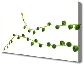 Obraz na plátně Dekorativní Rostlina 125x50 cm