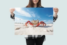 Plakát - červený krab na písečné pláži FeelHappy.cz Velikost plakátu: A2 (42 x 59,7 cm)