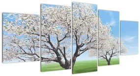 Obraz kvetoucího stromu na jarní louce