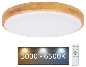 Brilagi Brilagi - LED Stmívatelné stropní svítidlo PINE LED/24W/230V + dálkové ovládání BG0288