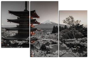 Obraz na plátně - Pohled na horu Fuji 161FC (120x80 cm)