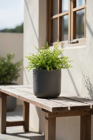 Květináč CHICO, sklolaminát, výška 31 cm, antracit