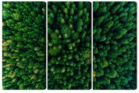 Vícedílný obraz Letecký Pohled Na Zelený Les Nedostatek Nedostatek Přírodní plátno 120x80