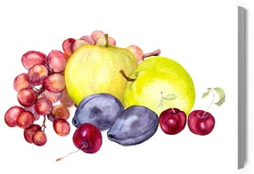 Obraz Letní Ovoce Malované Akvarelem Nedostatek Nedostatek Plátno Canvas 100x70