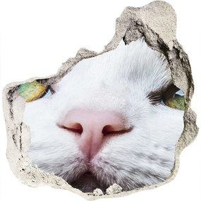 Wallmuralia Díra 3D fototapeta nálepka Zelená kočičí oči 75x75 cm