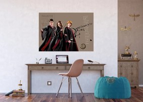 Dětská vliesová fototapeta na zed' Harry Potter Kouzelné Trio | 155 x 110 cm | DFTDNM5295