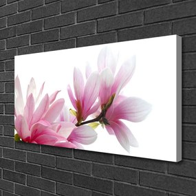 Obraz na plátně Magnolie Květ 120x60 cm