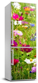 Wallmuralia Foto tapeta na ledničku Polní květiny 60x180 cm