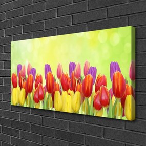 Obraz na plátně Tulipány Květiny Rostlina 120x60 cm