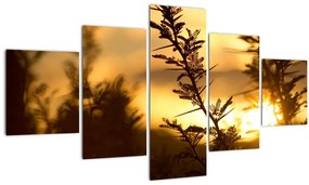 Obraz - Slunce zapadající za stromy (125x70 cm)