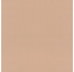 Vliesová tapeta 687576 jednobarevná měděná / Tapety na zeď Tropical House (0,53 x 10,05 m) Rasch