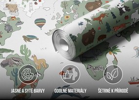 Dětská fototapeta na míru Zelenošedá Kreslená Mapa Se Zvířaty | Vliesová fototapeta na zed' | DFTD5P 352451