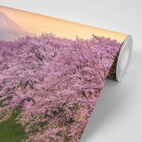 Samolepící fototapeta nádherné Japonsko