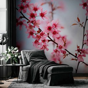 Fototapeta Symbol Japonska - květy sakury - světlý japonský rostlinný motiv
