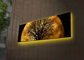 Obraz s led osvětlením Ledda Night 90x30 cm