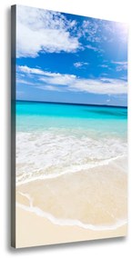 Wallmuralia Vertikální Foto obraz na plátně Tropická pláž 50x100