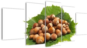 Lískové ořechy, obraz