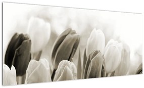 Obraz tulipánů (100x40cm)