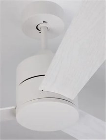 Stropní ventilátor Axel 137 bílý s dálkovým ovládáním