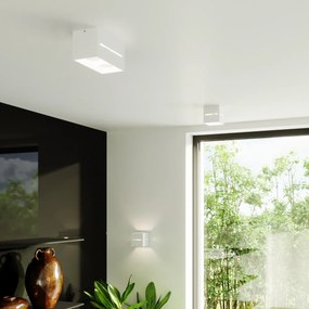 Sollux Lighting Stropní svítidlo LOBO bílé