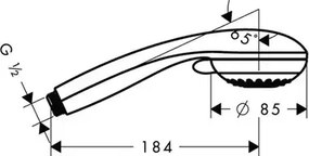 Hansgrohe - Sprchová hlavice Vario, 2 proudy, chrom