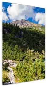 Wallmuralia Vertikální Fotoobraz na skle Mořské oko Tatry 50x100