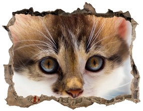 Wallmuralia Díra 3D fototapeta nástěnná Nálepka malá kočka 95x64 cm