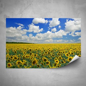 Plakát - Slunečnicové pole (60x40 cm) - PopyDesign