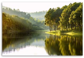 Obraz na plátně, Příroda lesního stromu krajiny - 120x80 cm