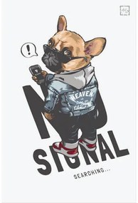 Cedule Bulldog No Signal
