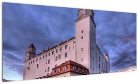 Obraz zámku (100x40cm)