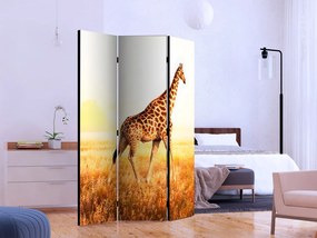 Pokojová zástěna Žirafa - procházka (3dílný) - divoké zvíře na slunném poli