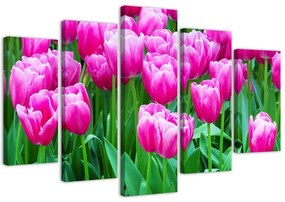 Gario Obraz na plátně Růžové tulipány - 5 dílný Rozměry: 100 x 70 cm