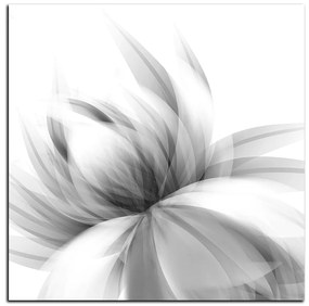 Obraz na plátně - Elegantní květ - čtverec 3147QA (80x80 cm)
