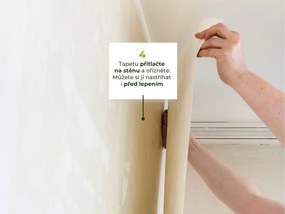 Vinylová nástěnná tapeta LESNÍ ZVÍŘATA do dětského pokojíčku