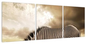 Obraz zebry (90x30 cm)