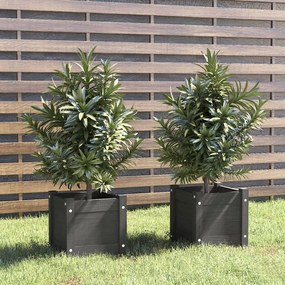 Zahradní truhlíky 2 ks šedé 31 x 31 x 31 cm masivní borovice - Default Title